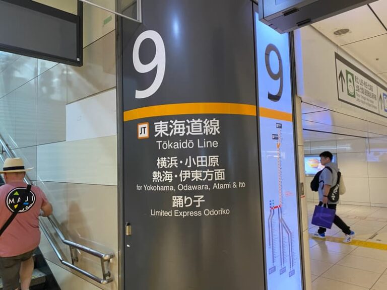 特急踊り子号の東京駅の乗り場は何番線にあるの？ホームへの行き方も紹介 - 電車のしおり