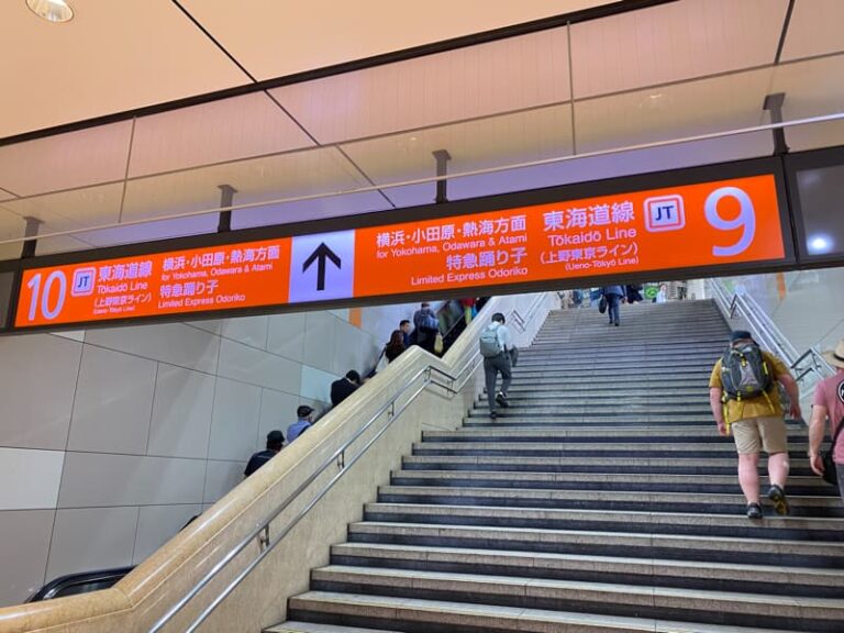 特急踊り子号の東京駅の乗り場は何番線にあるの？ホームへの行き方も紹介 - 電車のしおり